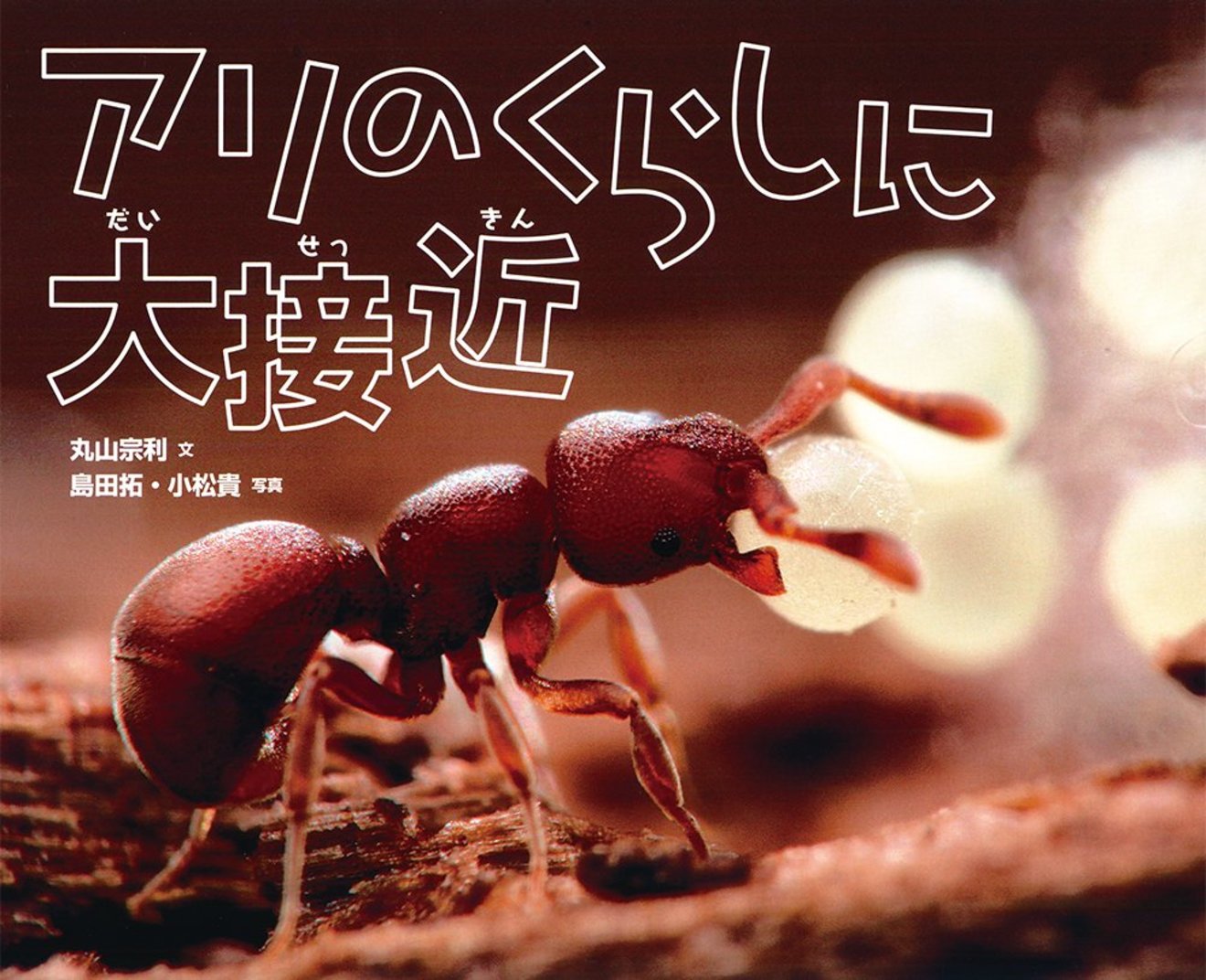 働か ない アリ に 意義 が ある 要約